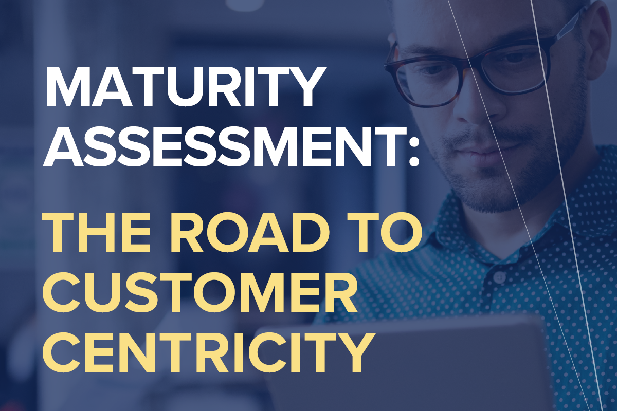 Business-reporter.com - White Papers - Maturity assessment: the road to ...